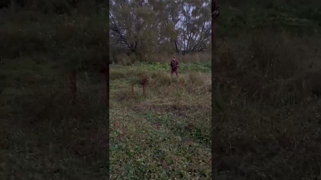 летний сенокос