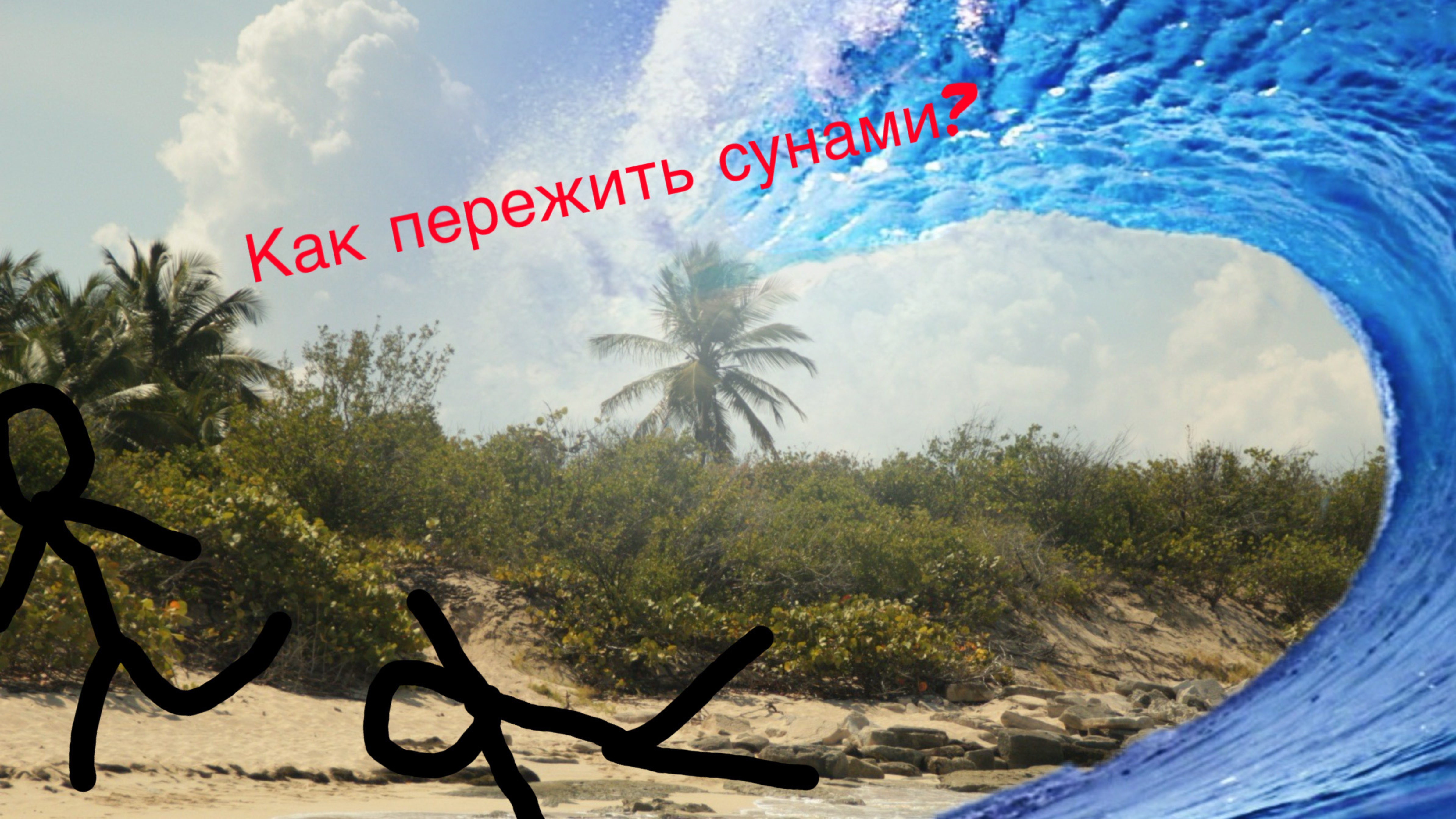 Как пережить сунами?