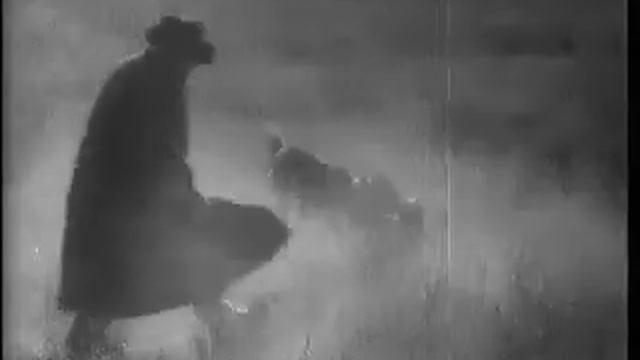 Киножурнал /  НОВОСТИ ДНЯ 1954 г   N 70