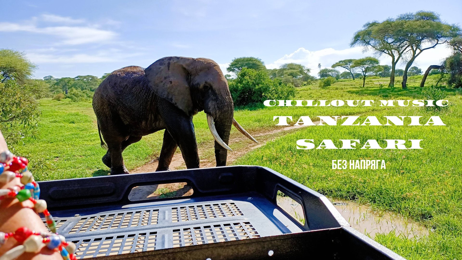 CHILLOUT MUSIC TANZANIA SAFARI ~БЕЗ НАПРЯГА~