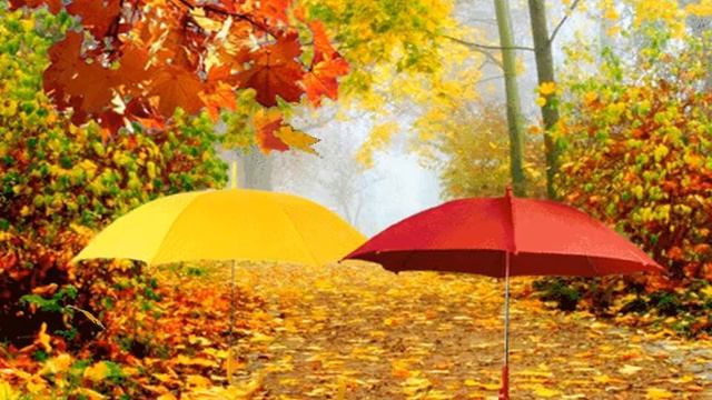 прощание с дождем