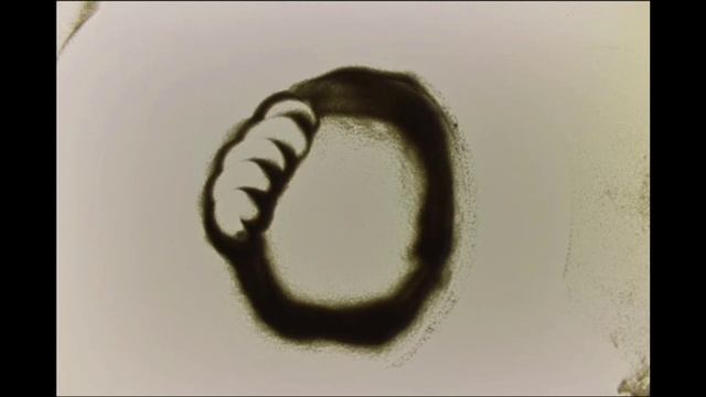 гласные звуки