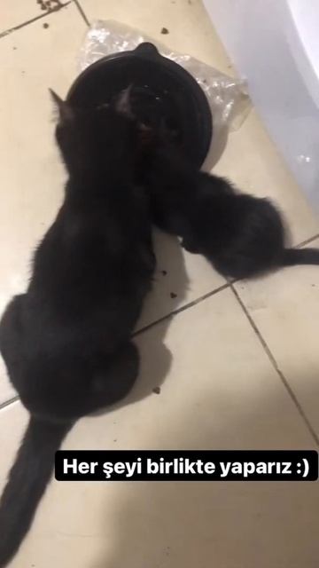 Her şeyi birlikte yaparız :)