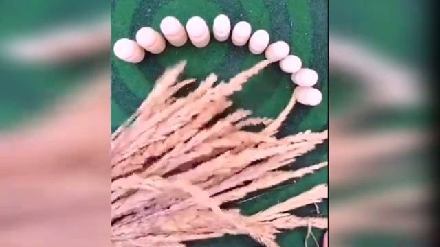 12. Пророк Йакуб (мир ему) - детям и родителям.