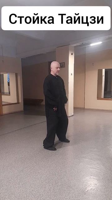 Базовые шаги тайцзицюань.  Выход в стойку Тайцзи
#двигайся_в_потоке #цигун #тайцзицюань #даосскиепра