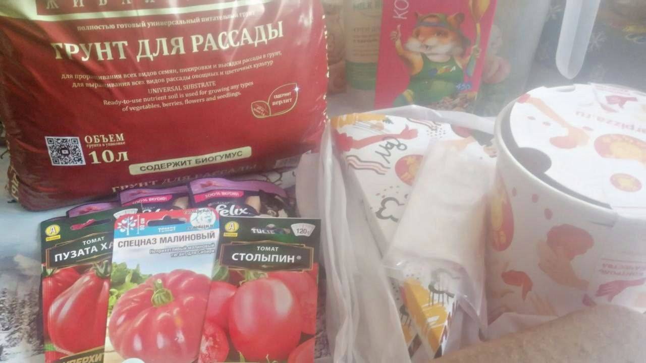 Жар-пицца. @ Готовимся к посеву.