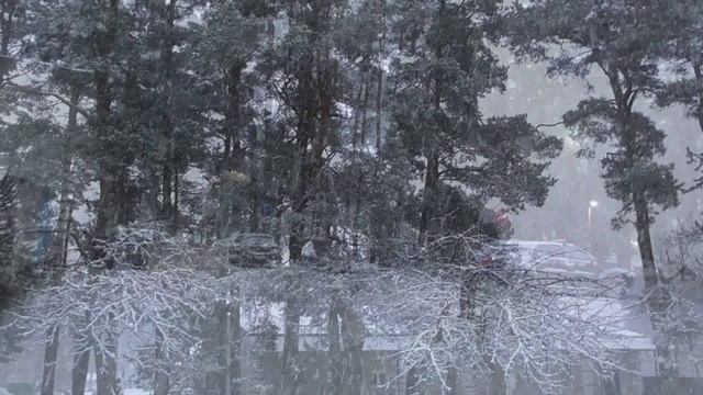 Зима в санатории