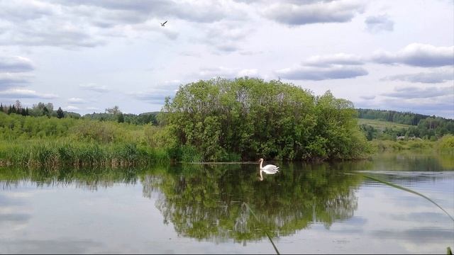 Н  Некрасов  Есть женщины в русских селеньях #гражданскаялирика #стихиоженщине #поэты19века