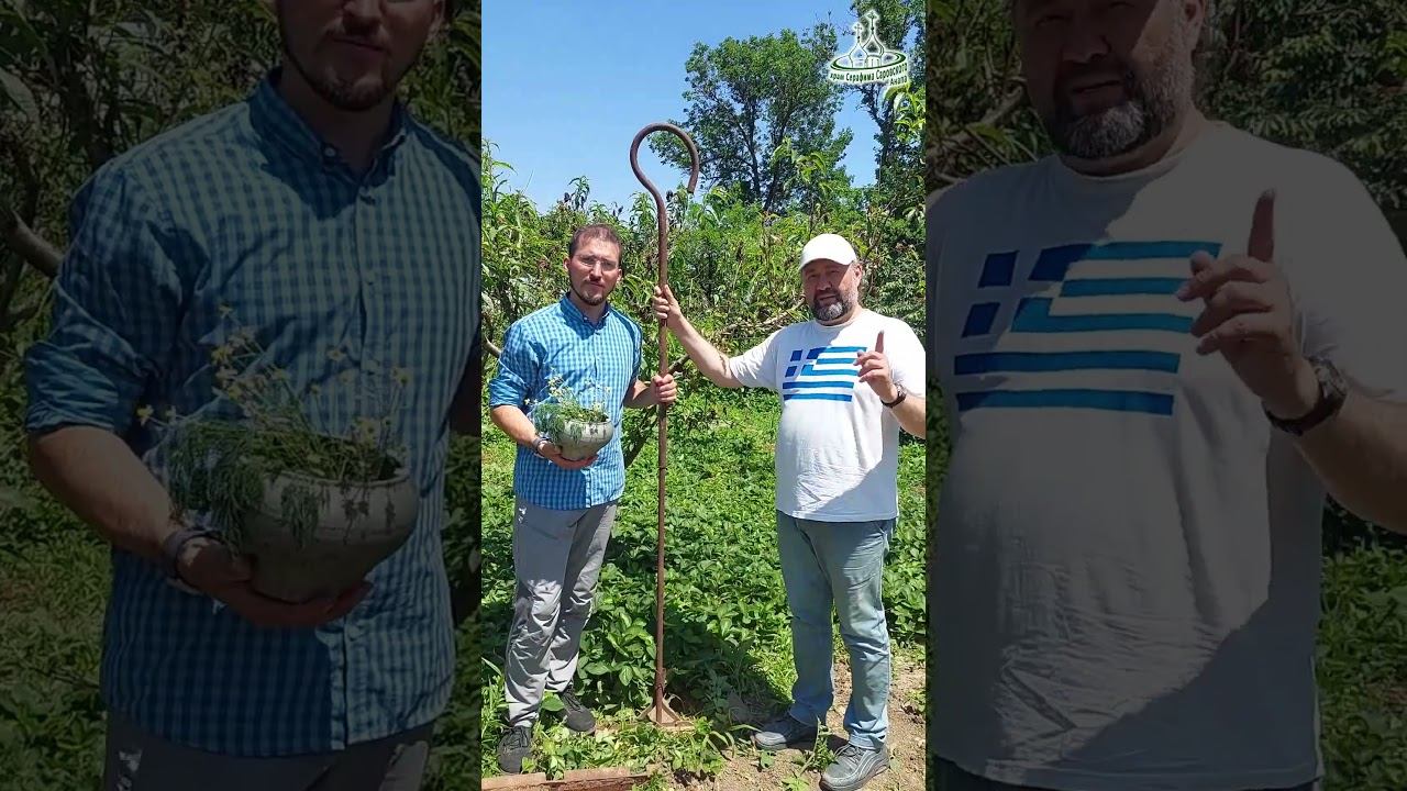 Киножурнал ЧУГУНОК. Выпуск № 3. Посох Аарона. Храм Серафима Саровского в Анапе. #shorts