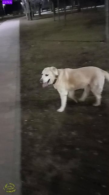 Парковая зона