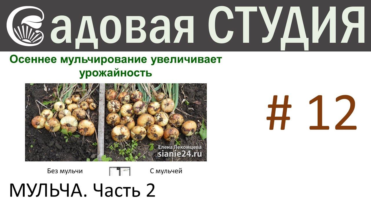 Всё о мульчировании. Часть 2