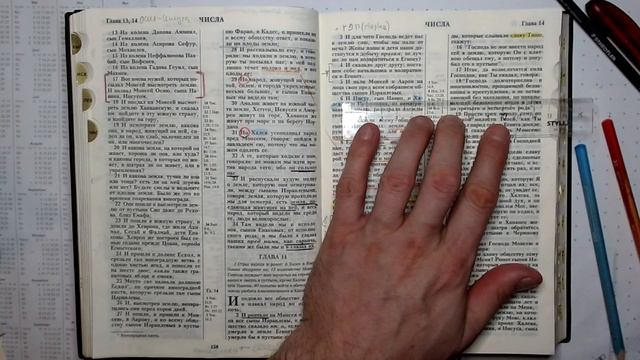 13. Числа 14 глава