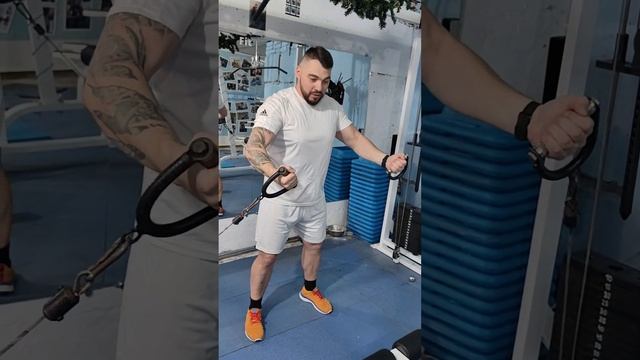 Кроссовер: Сведения рук с нижних блоков