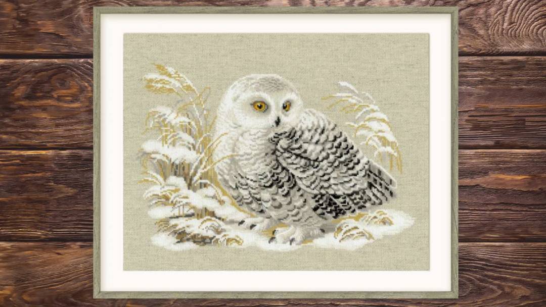 От старта до финиша "Белая сова от Риолис"