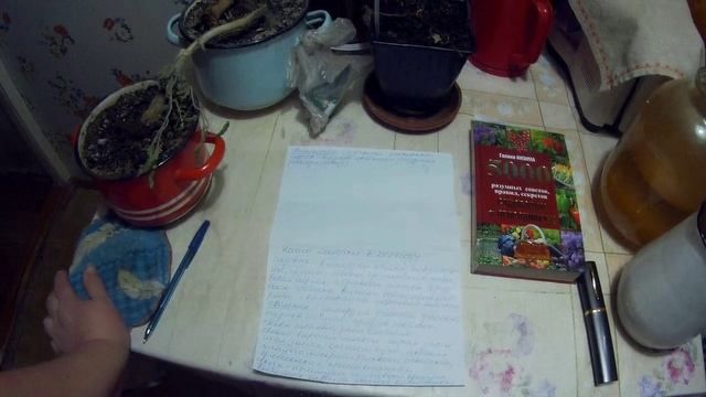 выращивание датуры 5ч. зимовка в помещении. Итоги 2017 г.