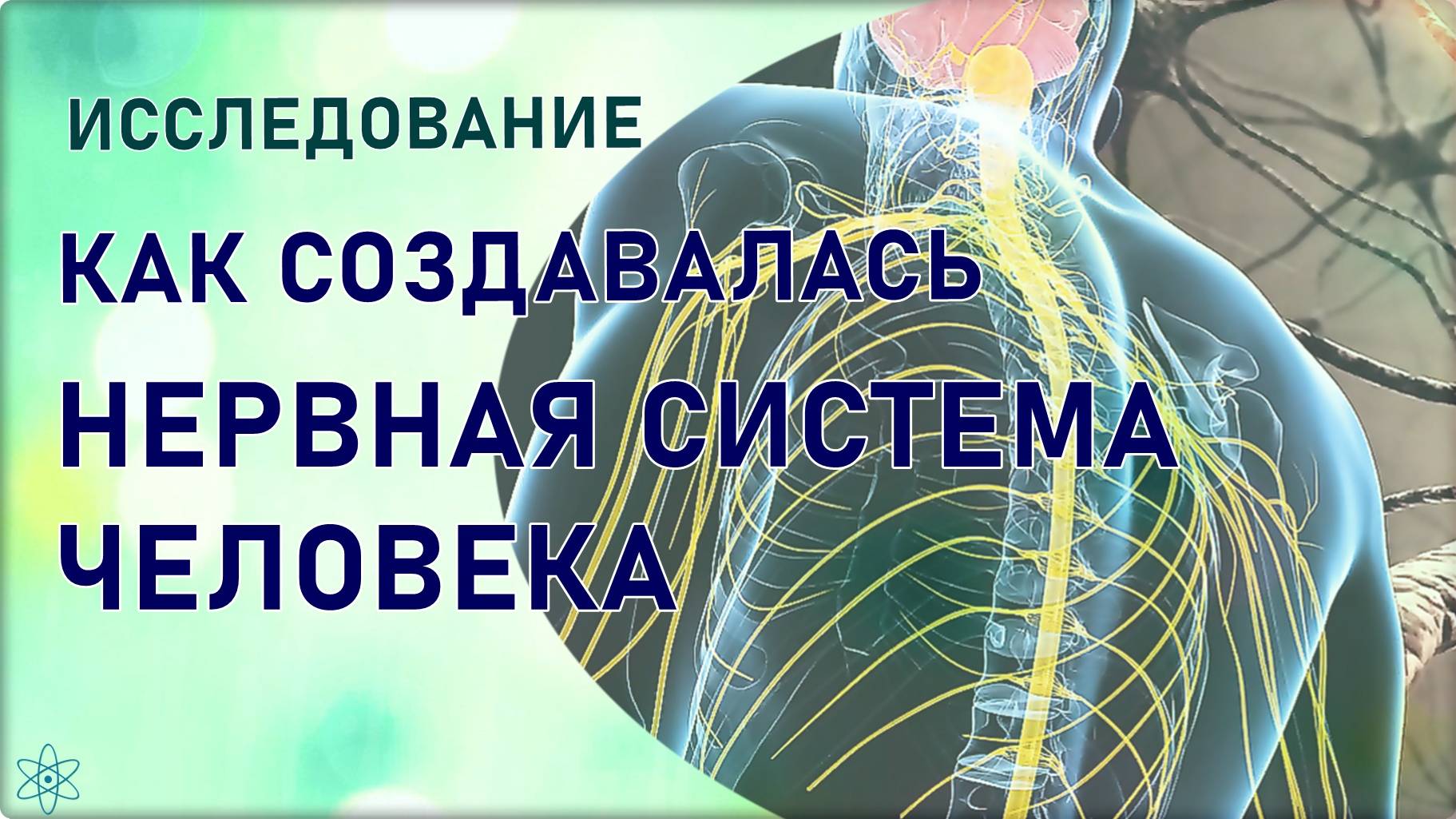 24 КАК СОЗДАВАЛАСЬ НЕРВНАЯ СИСТЕМА ЧЕЛОВЕКА. #ИССЛЕДОВАНИЕ С ЕЛЕНОЙ #РЕГРЕССИВНЫЙ #ГИПНОЗ