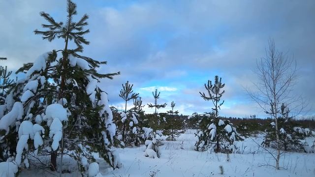 Данте Алигьери  Перевод Б Кригера  Смерть беспощадная, жалости чувство #философскаялирика