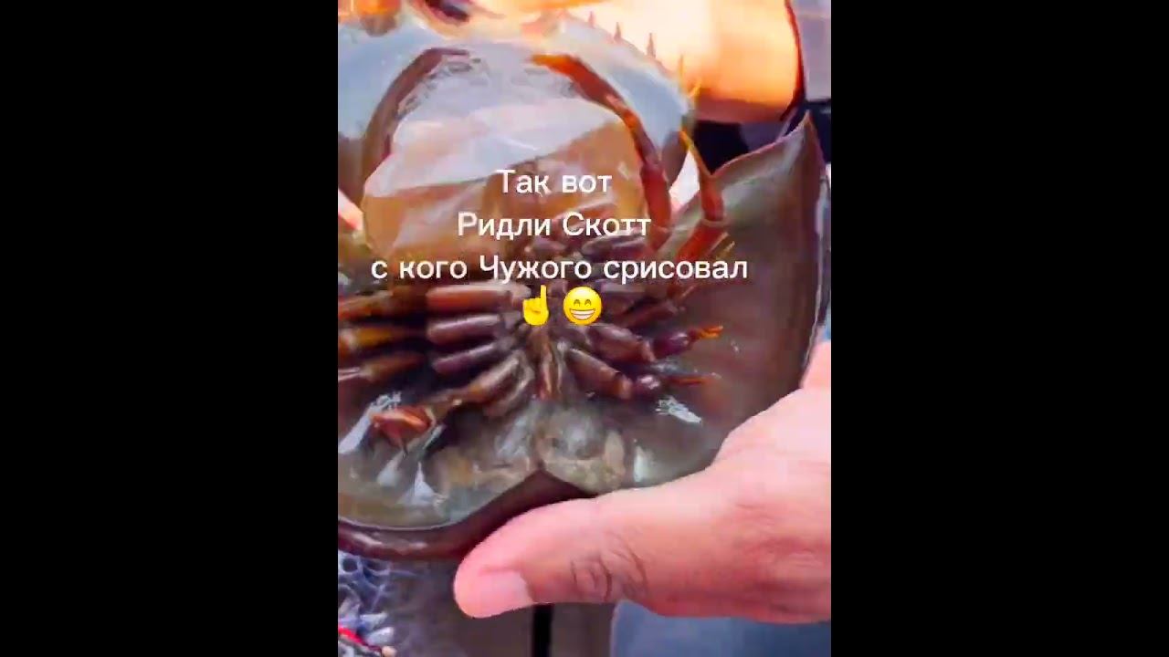 Один из дней в Тайланде на острове Ланта. Прекрасный день, как и все дни в Тайланде! :)