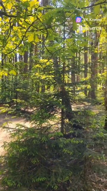 Дорогами Орловского Полесья / Военно - Мемориальный комплекс #велопоход #орловскоеполесье #природа