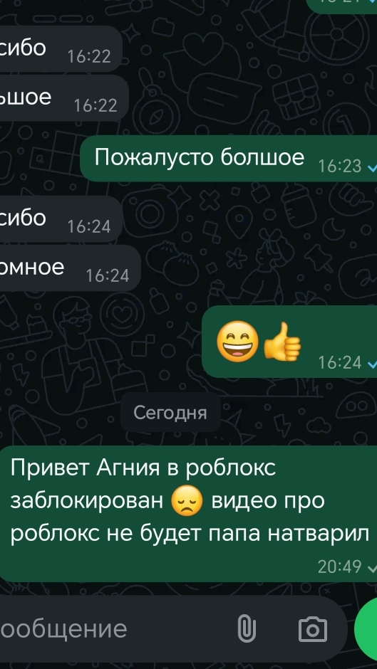 Когда папа заблокировал роблокс