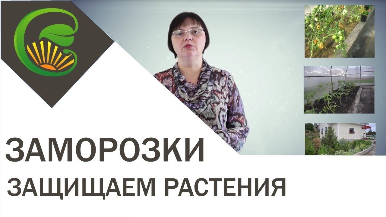 Аккумулятор тепла