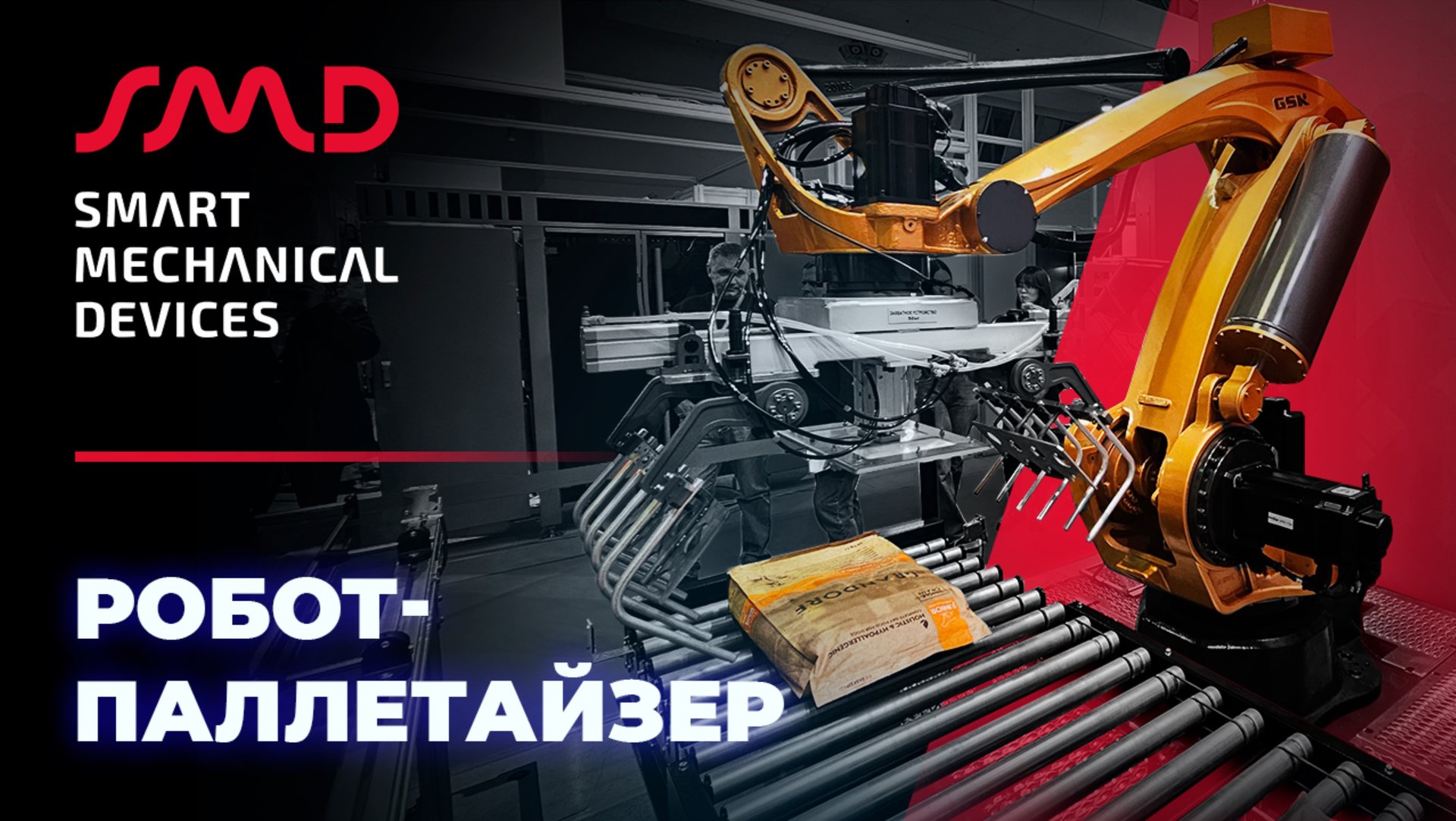 Робот-паллетайзер RMD GSX