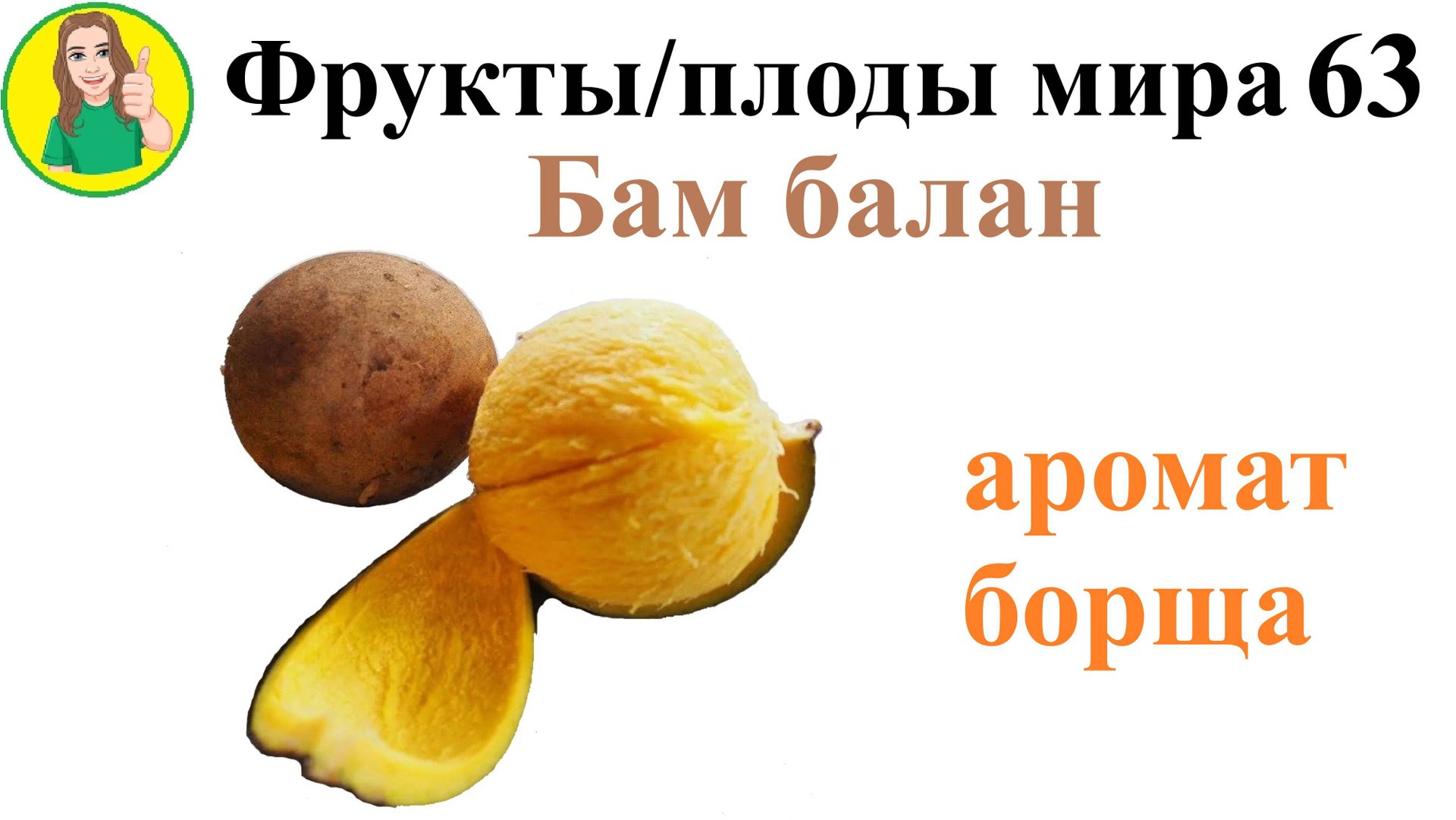 Фрукты - плоды мира 63 – дикий манго Бам балан с ароматом борща - Сыроедение Фрукторианство