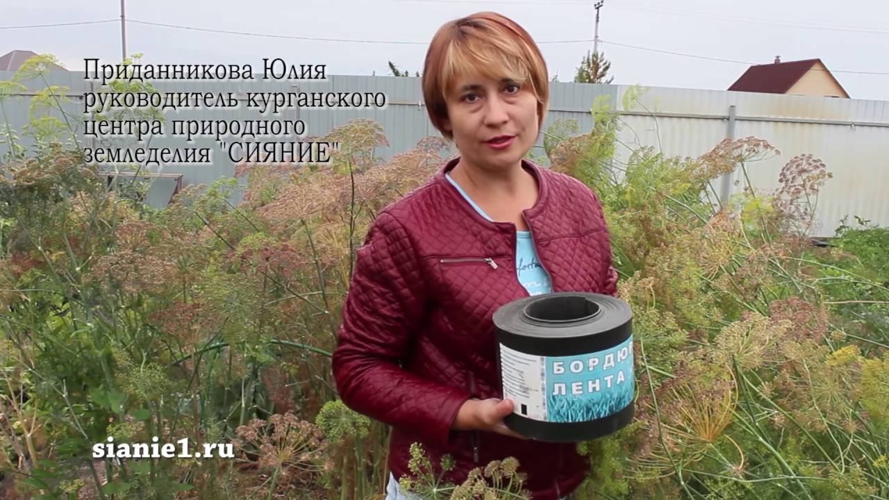 Бордюрная лента на садовом участке