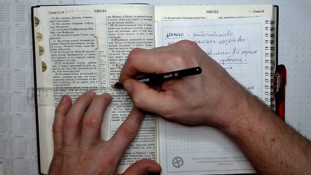 12 Числа 13-28-34