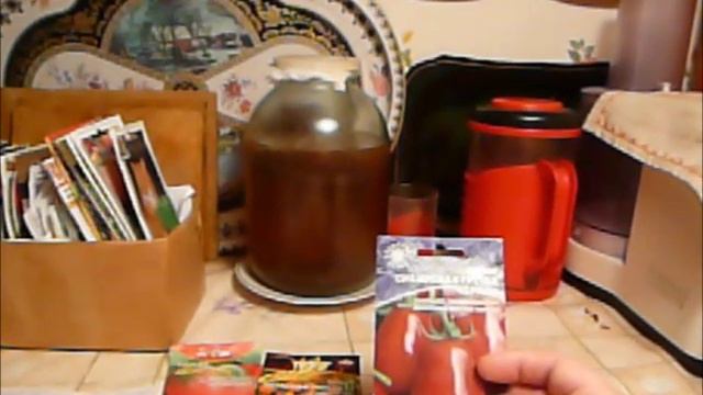 03 02 2016г томаты мои ошибки в выращивании.