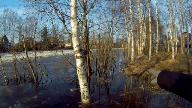 13 05 2017г. река Брусовица. Поднимается вода.