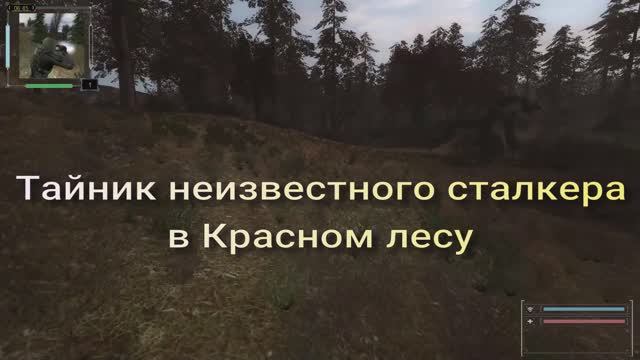 ОП 2.1 "ТАЙНИК ОПЫТНОГО СТАЛКЕРА" в Красном Лесу.