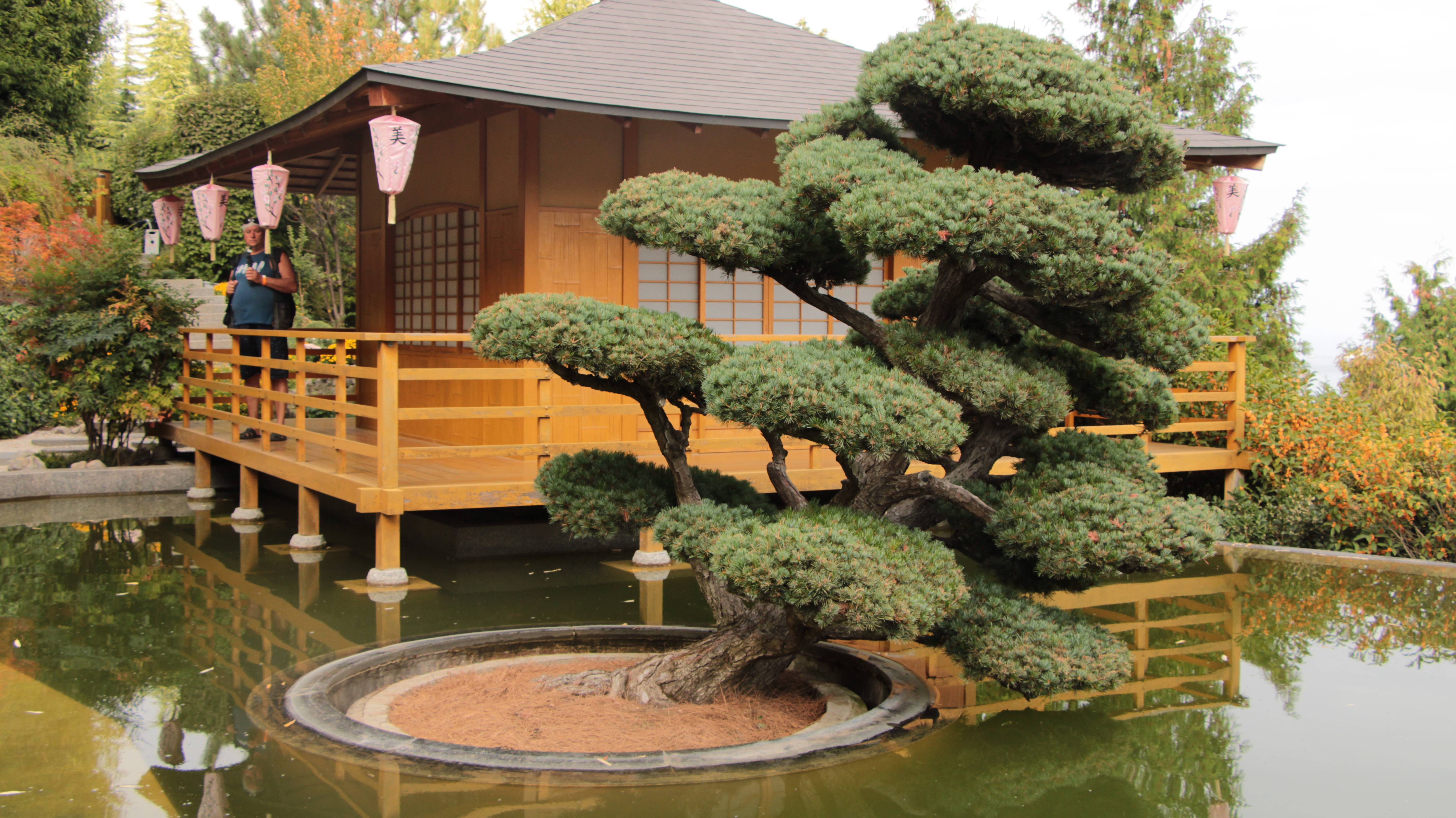 Бегом, в Японский сад!!!