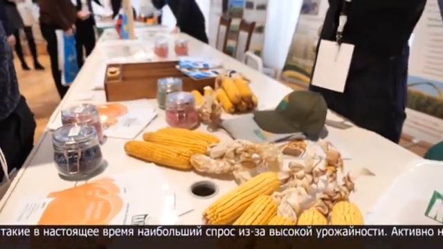 “7+7” Информационная программа  08.02.2025