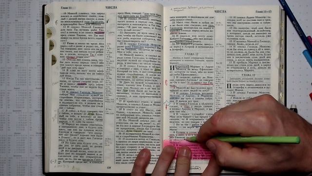 10. Числа 12 глава