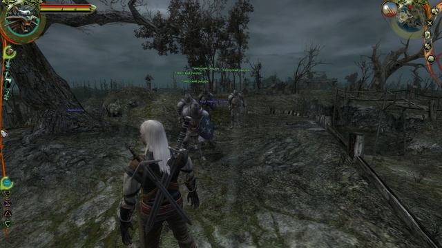 The Witcher- Enhanced Edition. Часть 50. Победа в Старой Вызиме, Кладбище на болотах и Стрыга