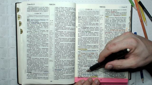 18. Числа 20 глава