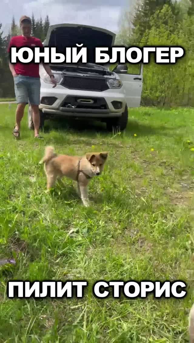 СЫН 5 лет САМ пилит сторис