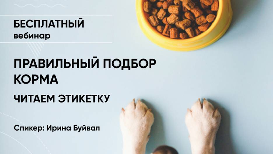 Как правильно выбрать сухой и влажный корм. Уметь читать этикетку