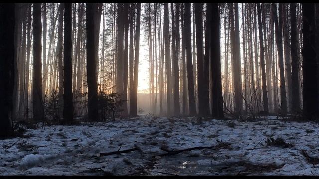 Н Панченко  Баллада о расстрелянном сердце #стихиовойне#поэзия20века