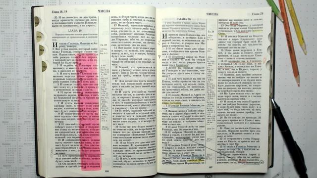 17. Числа 19 глава