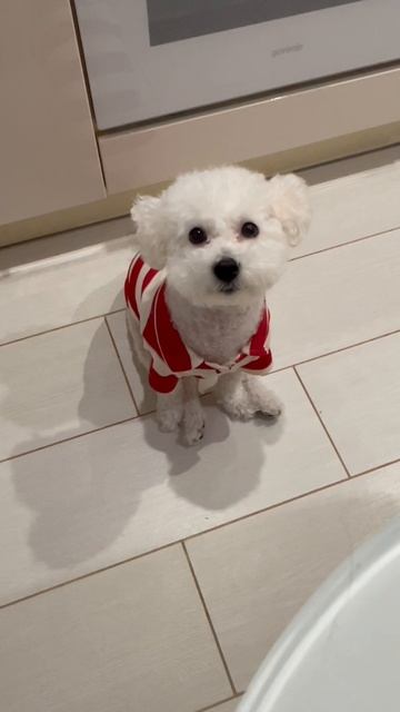 Взгляда достаточно, чтобы получить вкусняшку.