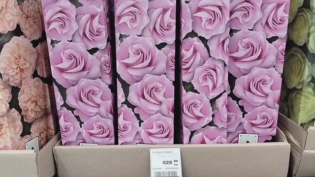 Розы. 2025. Февраль. Свежее пополнение саженцев роз. Названия, цены и состояние саженцев