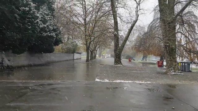 Сильный снегопад в Цюрихе Швейцария Люси Рождественские огни на Баннофштрассе