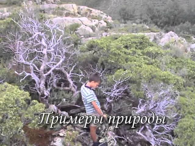 Стили ландшафтного дизайна