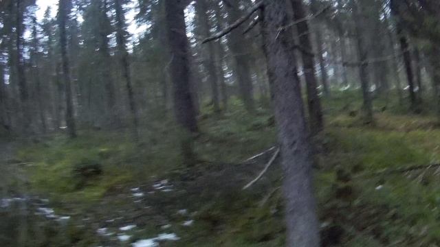 11 11 2017г. на ручей за водой питьевой.