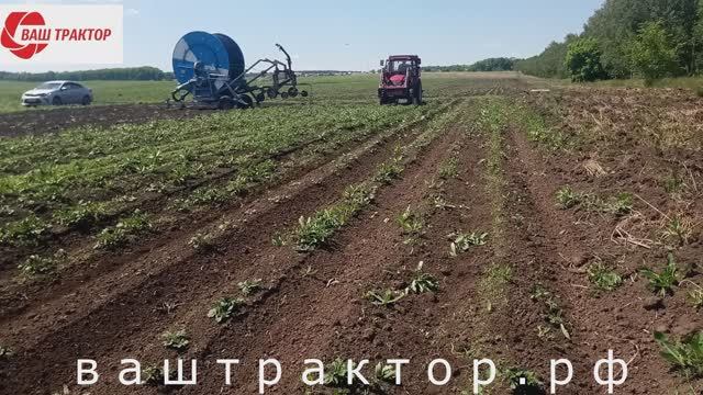 Окучник-культиватор ОК-2