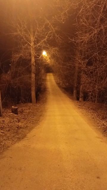 Ночная дорога