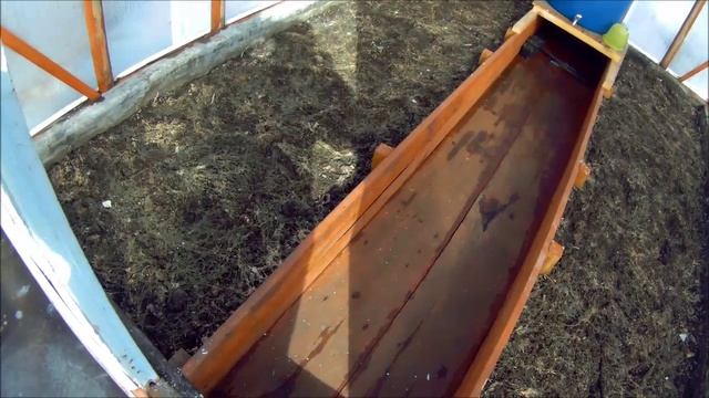 10 04 2017г. привезли саженцы на дачу.