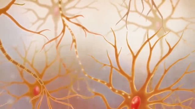 Как работает синапс? Как общаются нейроны?